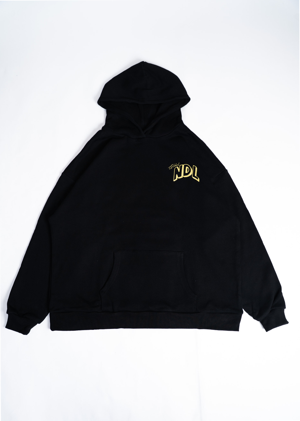 World Tour Hoody – NDL Merch